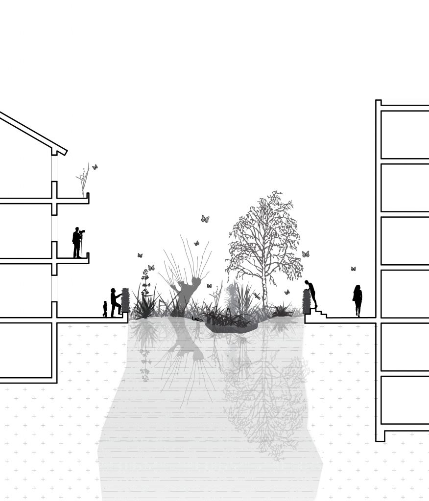 The Insect Highway | Zoo of the Future